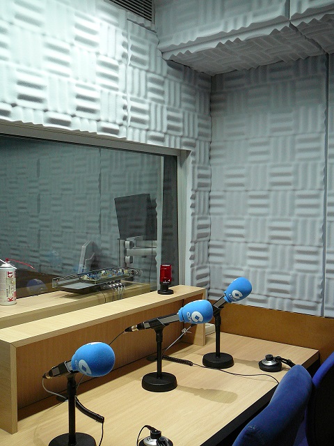 Pinta waffel y sonex - Paneles acústicos sistema encolado